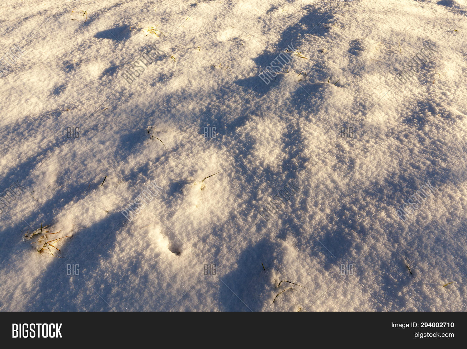 Lying Snow After Last Image & Photo (Free Trial) | Bigstock