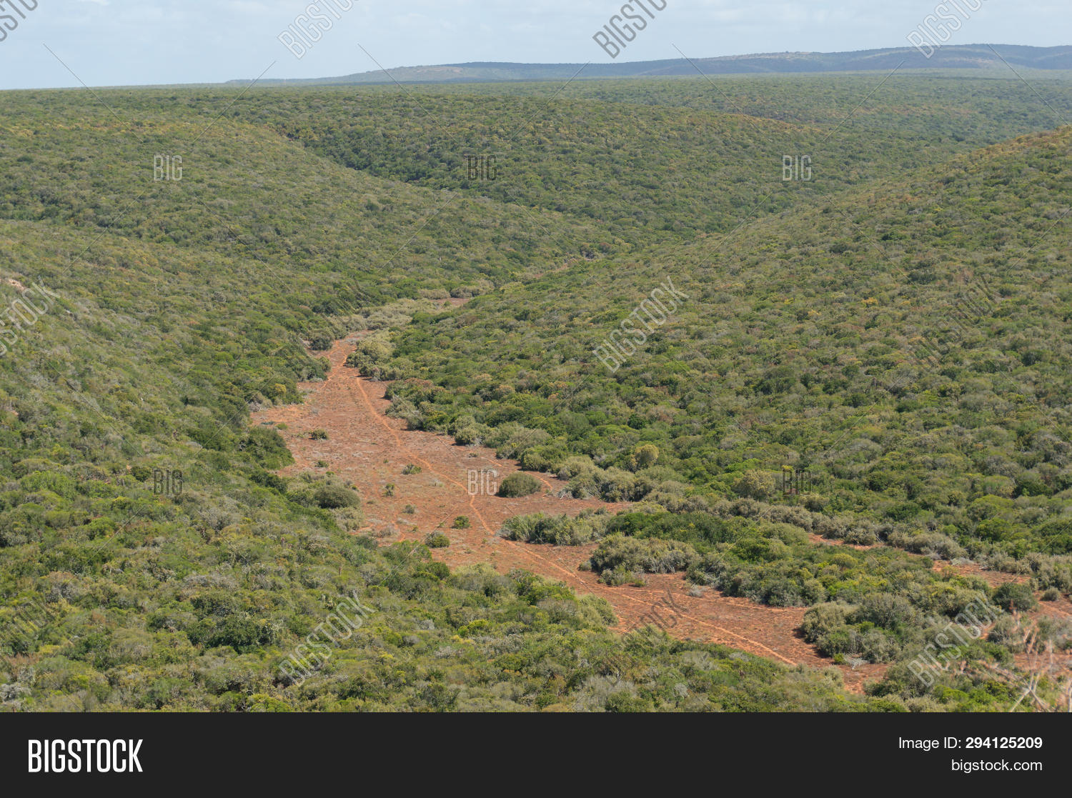 African Bushveld Image & Photo (Free Trial) | Bigstock