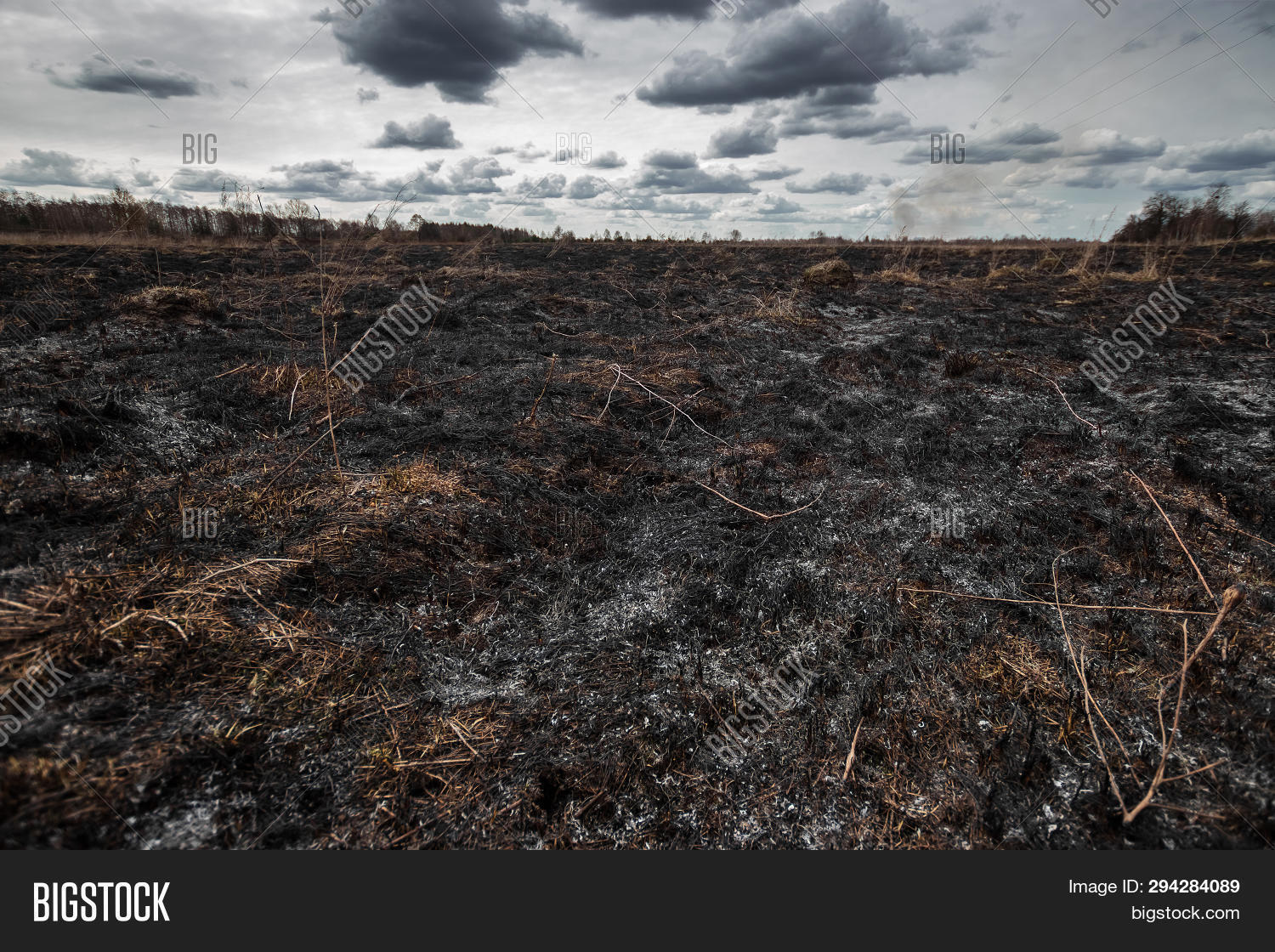 Scorched Earth, Spring Image & Photo (Free Trial) | Bigstock
