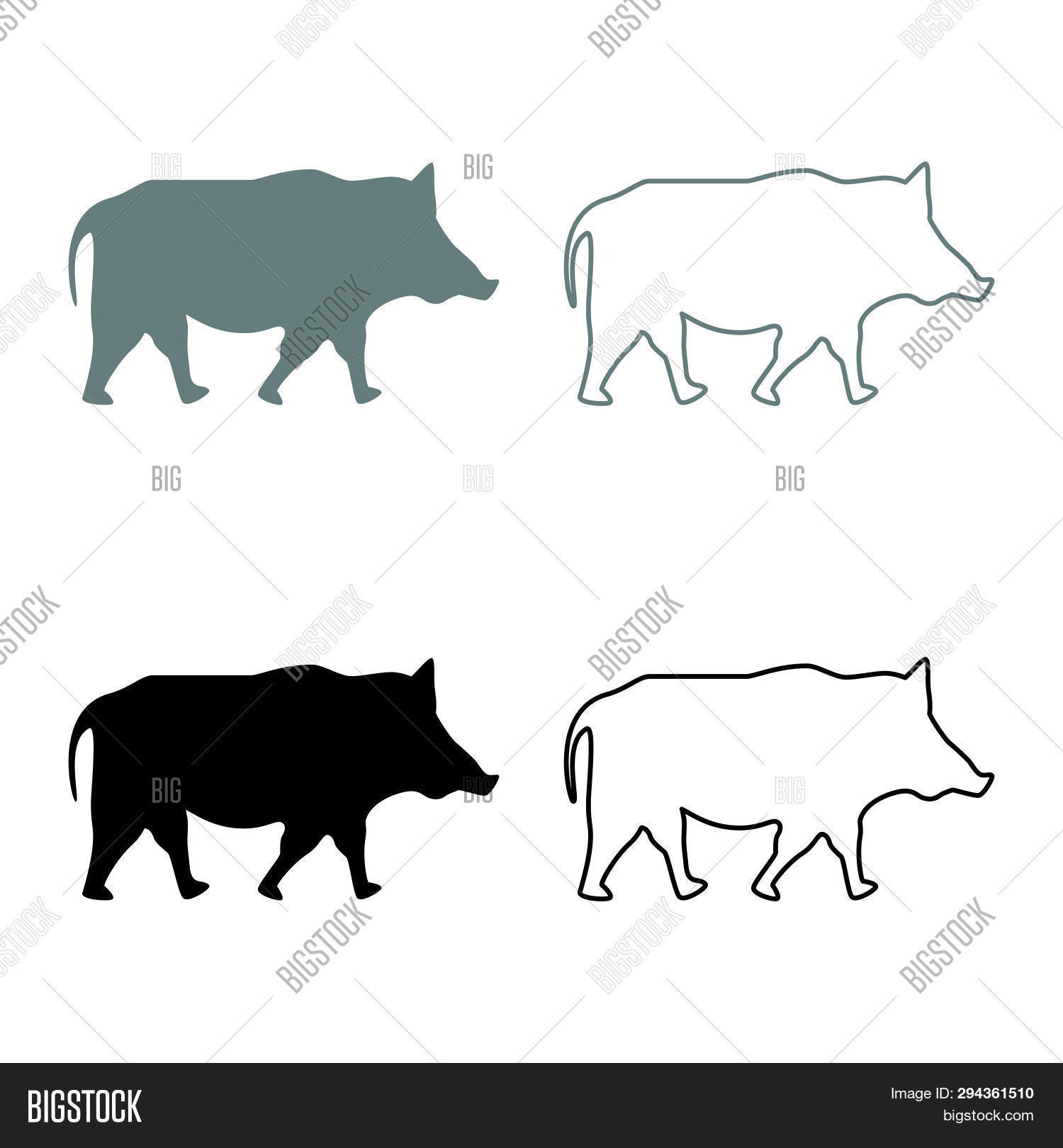 Wild Boar Wild Pig Vector & Photo (Free Trial) | Bigstock