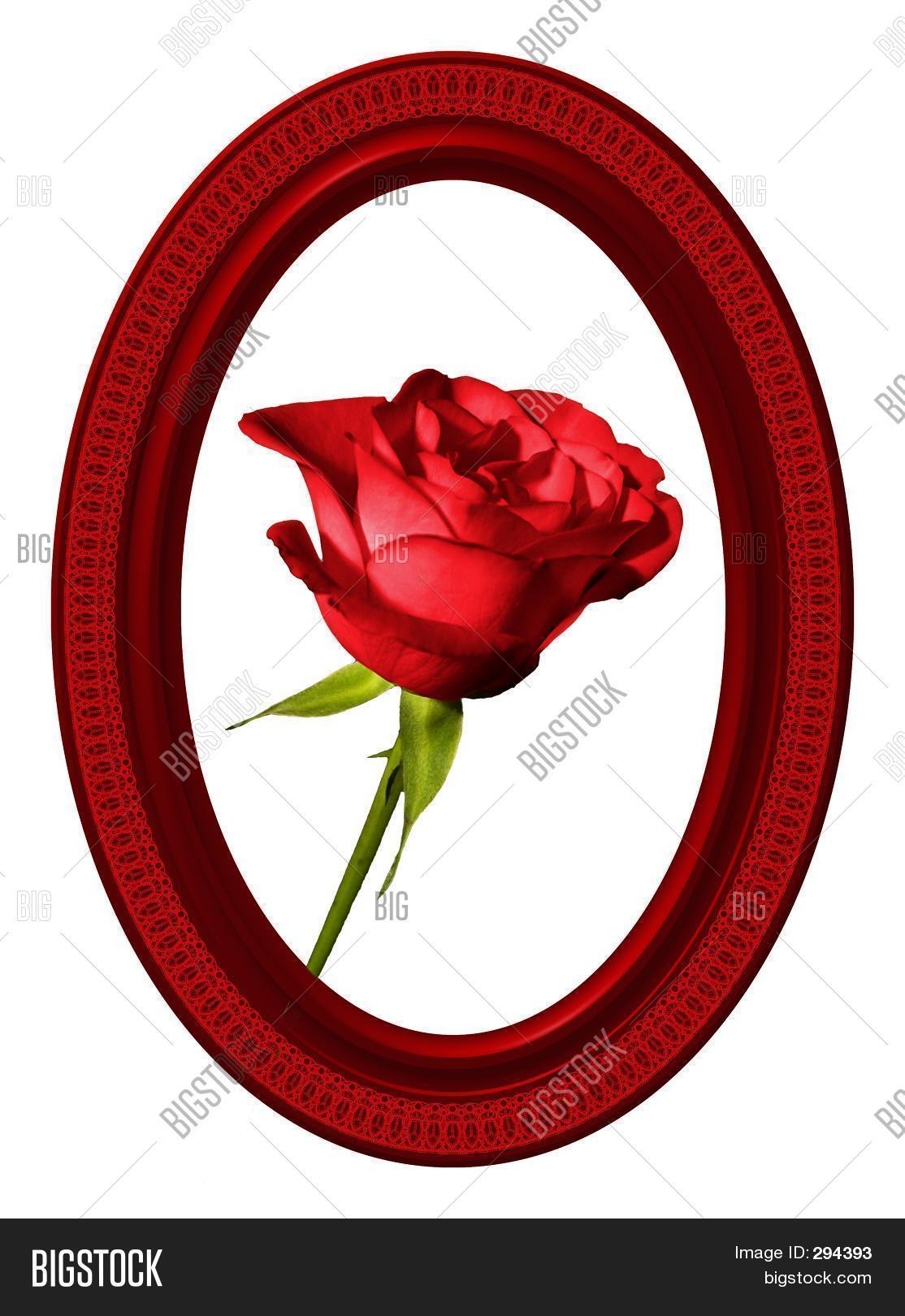Red Rose Oval Frame 04 Image & Photo (Free Trial) | Bigstock