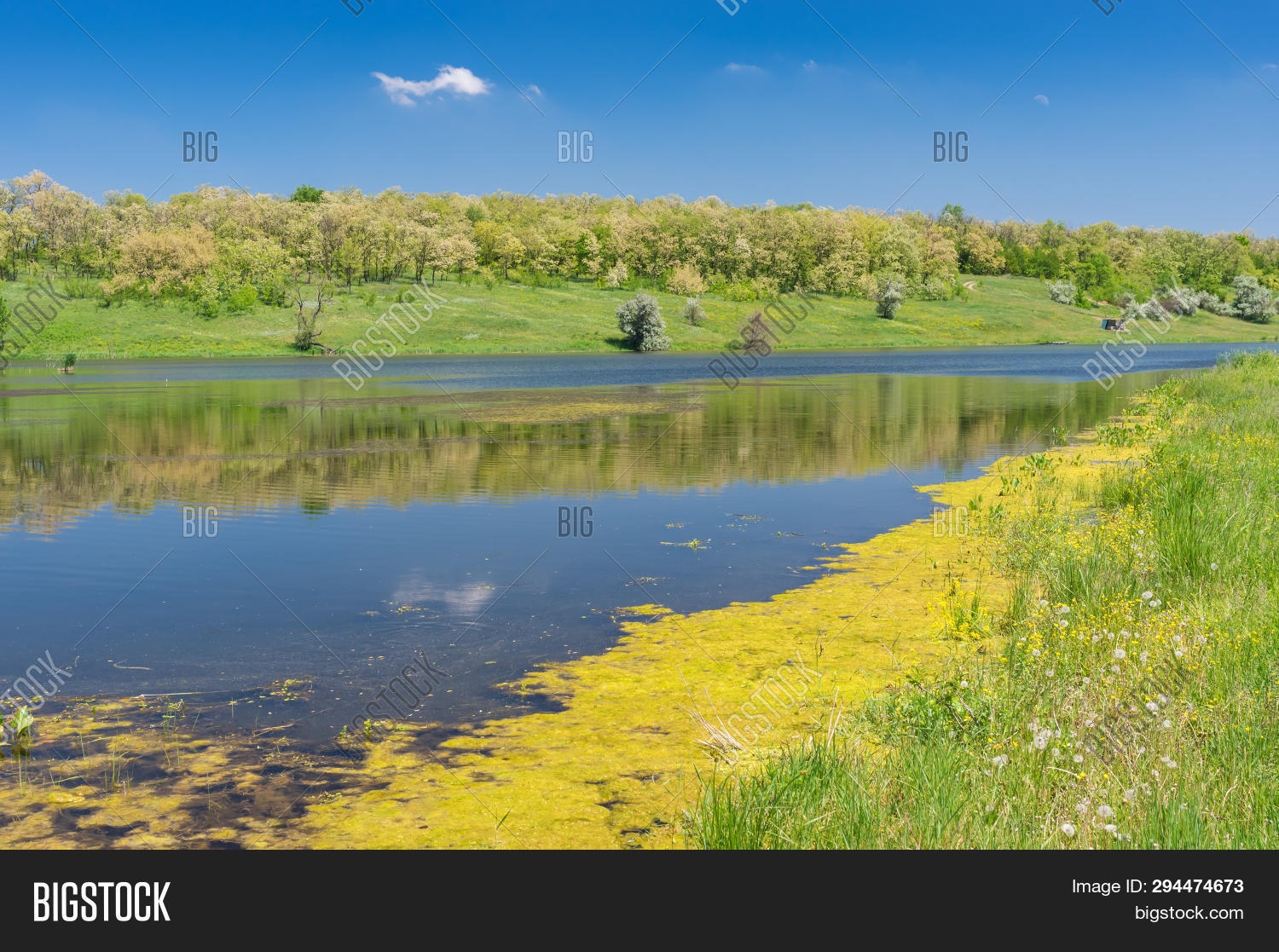Sunny Spring Landscape Image & Photo (Free Trial) | Bigstock