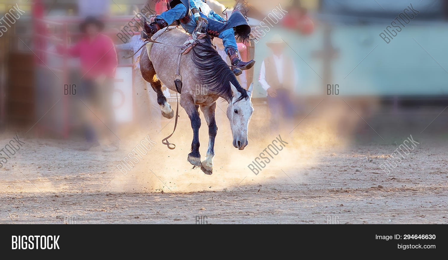 Bucking Bronc Horse Image & Photo (Free Trial) | Bigstock