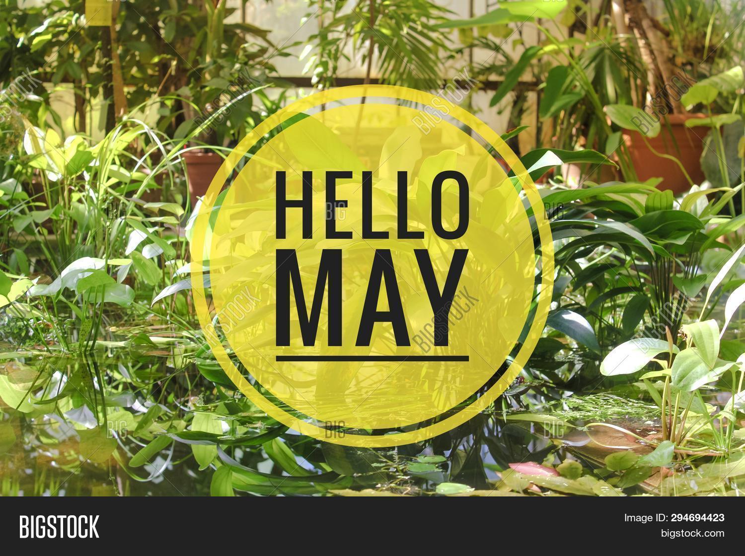 Banner Hello May. Image & Photo (Free Trial) | Bigstock