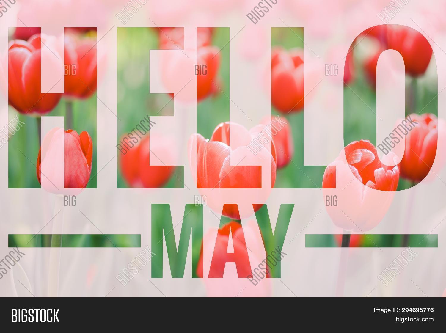 Banner Hello May. Image & Photo (Free Trial) | Bigstock