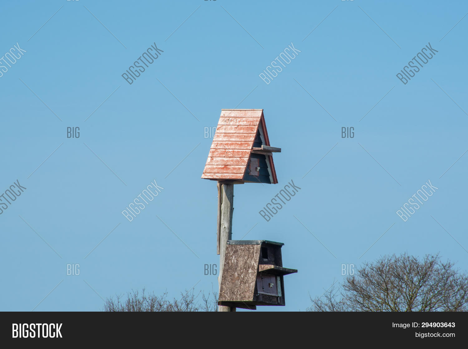 Large Birdboxes Owls Image & Photo (Free Trial) | Bigstock