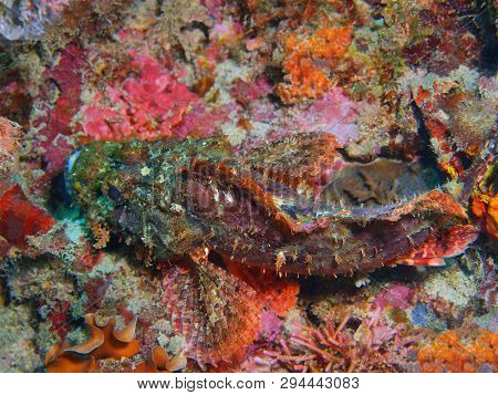 Amazing Mysterious Image & Photo (Free Trial) | Bigstock