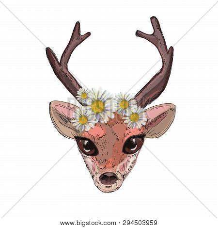 Cute Deer Baby Head Image & Photo (Free Trial) | Bigstock
