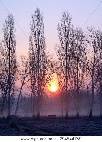 Sunrise Over Trees Image & Photo (Free Trial) | Bigstock