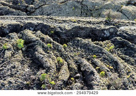 Surface Frozen Lava. Image & Photo (Free Trial) | Bigstock