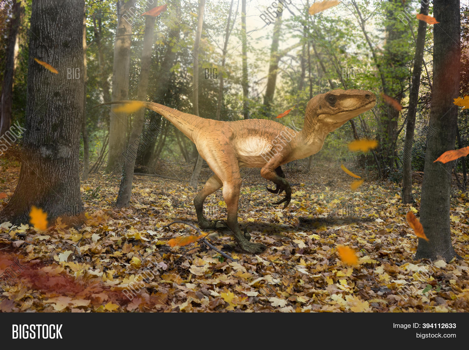 Velociraptor Walks Image & Photo (Free Trial) | Bigstock