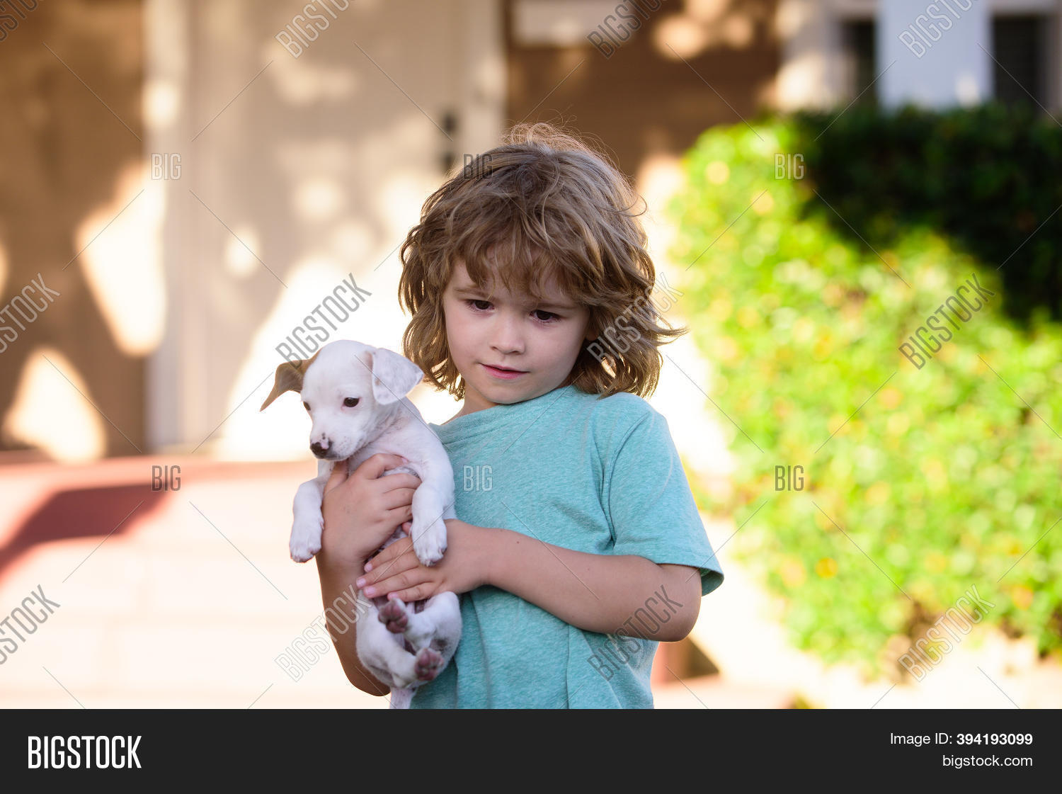 Cute Kid Puppy Playing Image & Photo (Free Trial) | Bigstock