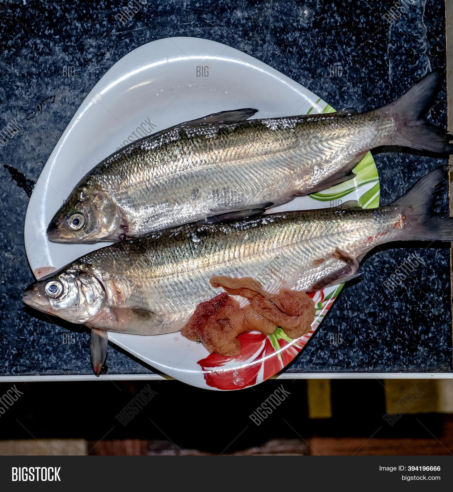 Fresh Freshwater Fish Image & Photo (Free Trial) | Bigstock