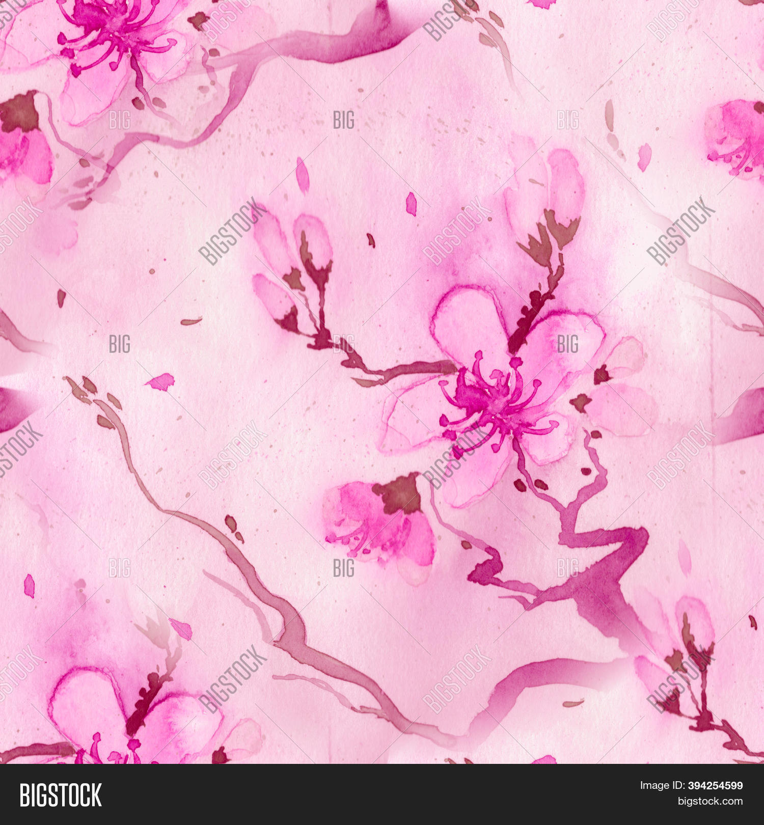 Sakura Watercolor. Image & Photo (Free Trial) | Bigstock