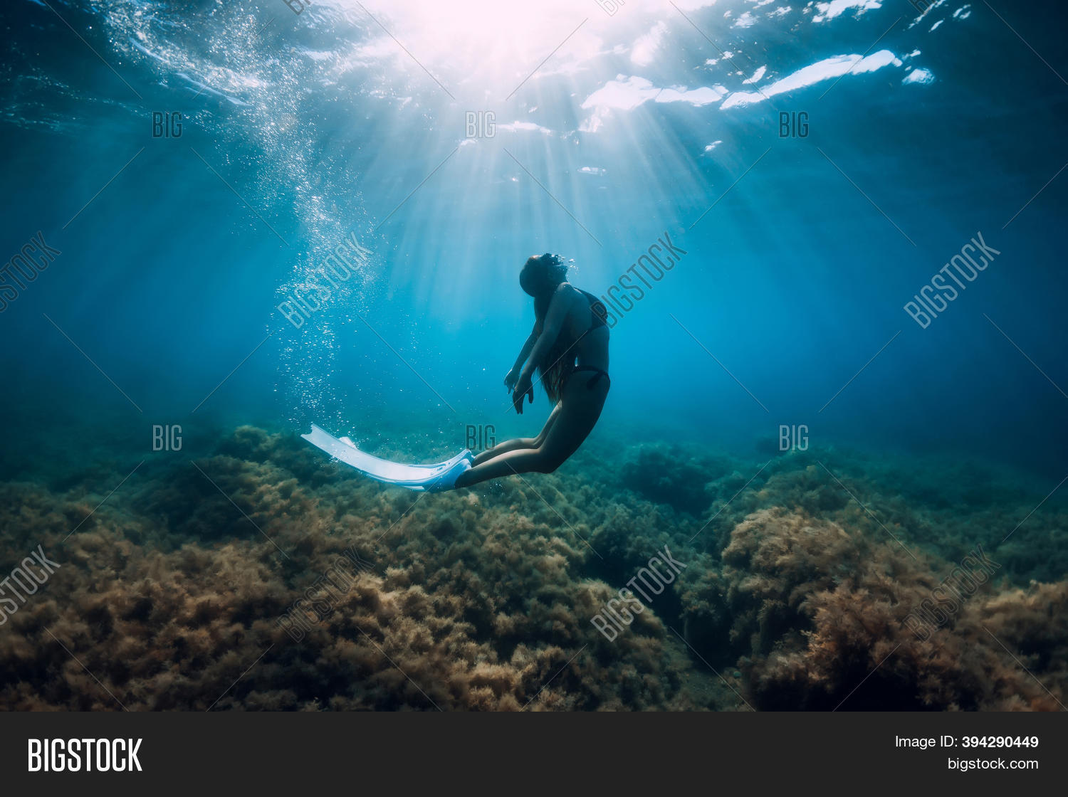 Freediver Young Woman Image & Photo (Free Trial) | Bigstock