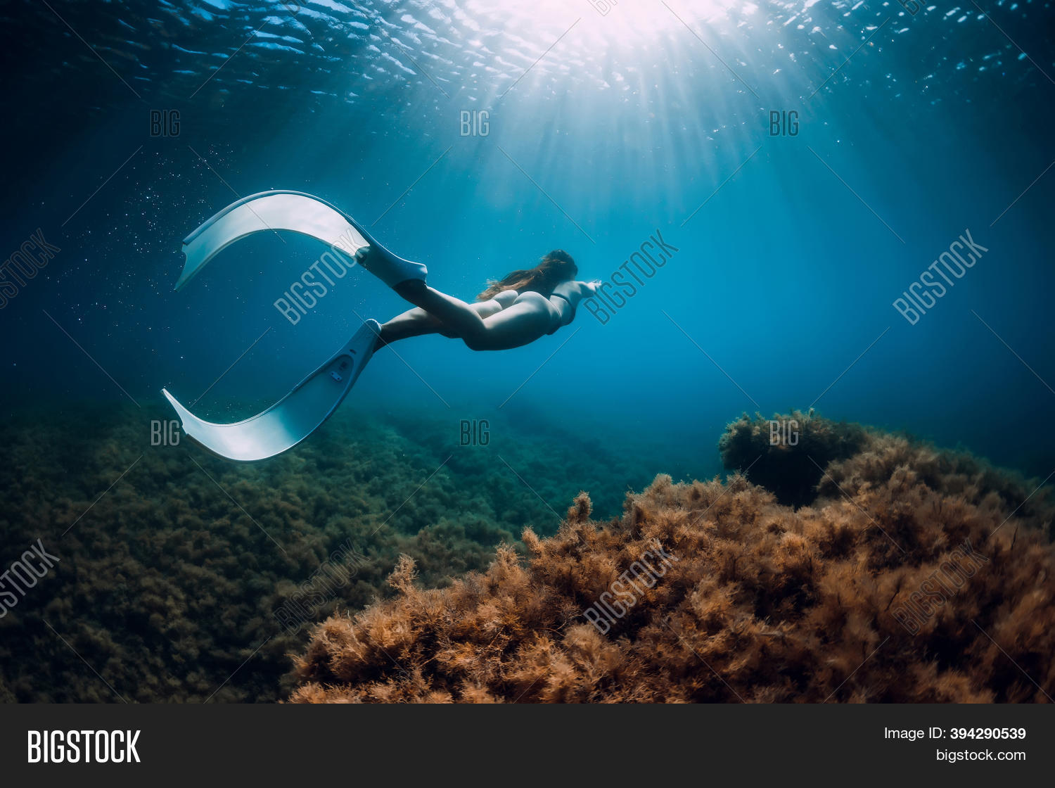 Freediver Girl White Image & Photo (Free Trial) | Bigstock