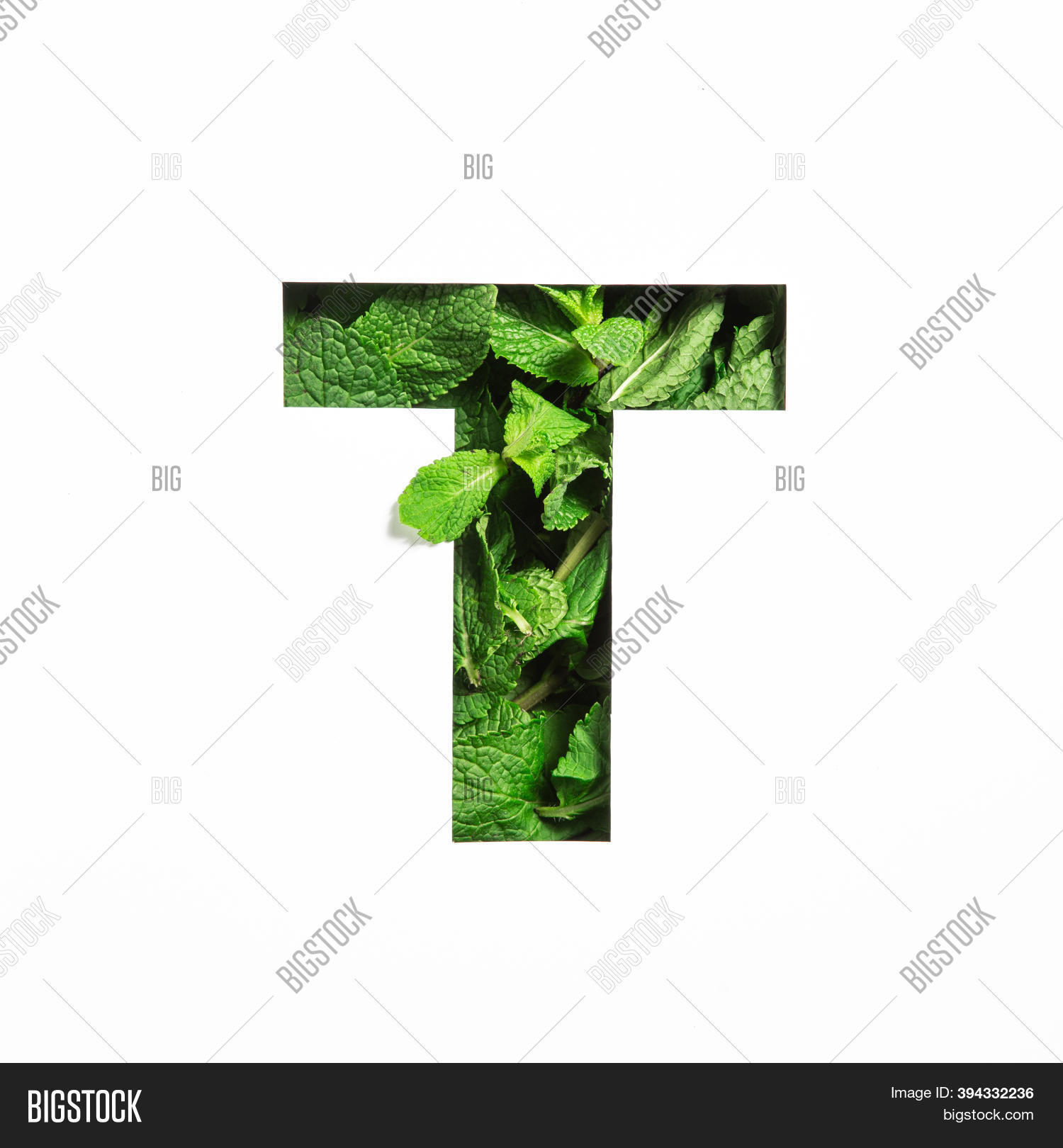 Letter T English Image & Photo (Free Trial) | Bigstock