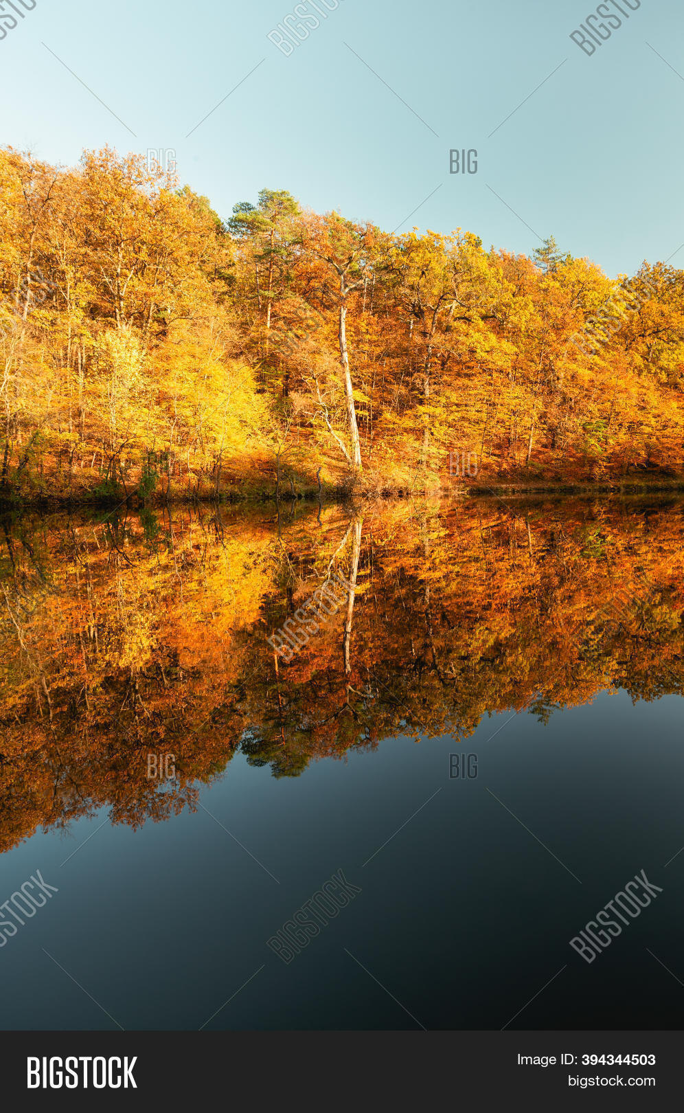 Autumn Forest Lake Image & Photo (Free Trial) | Bigstock