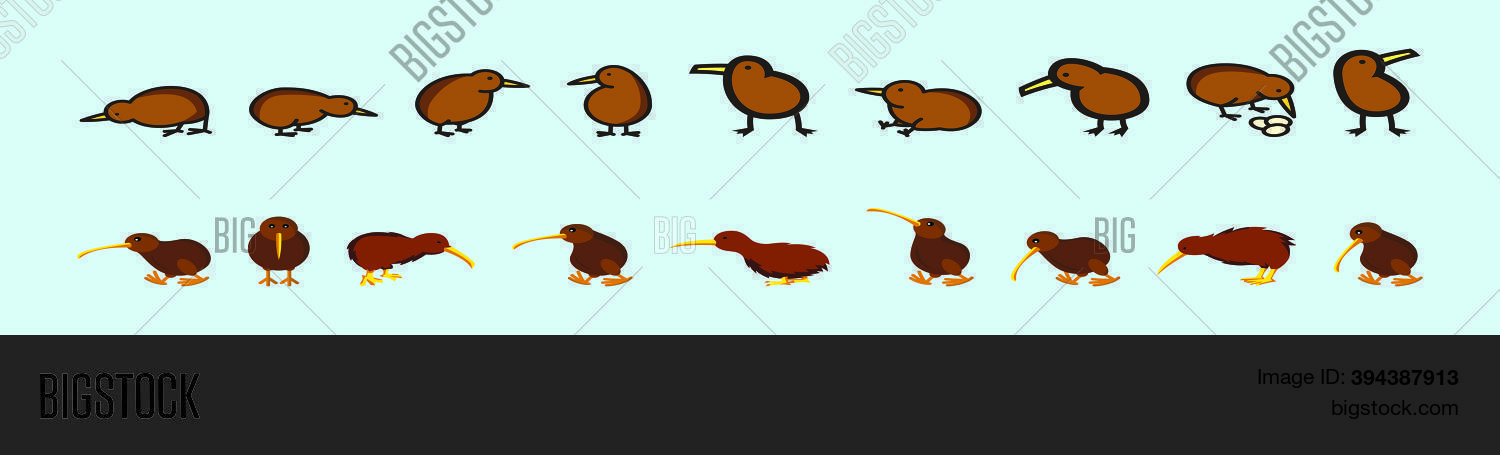 Kiwi Bird Design