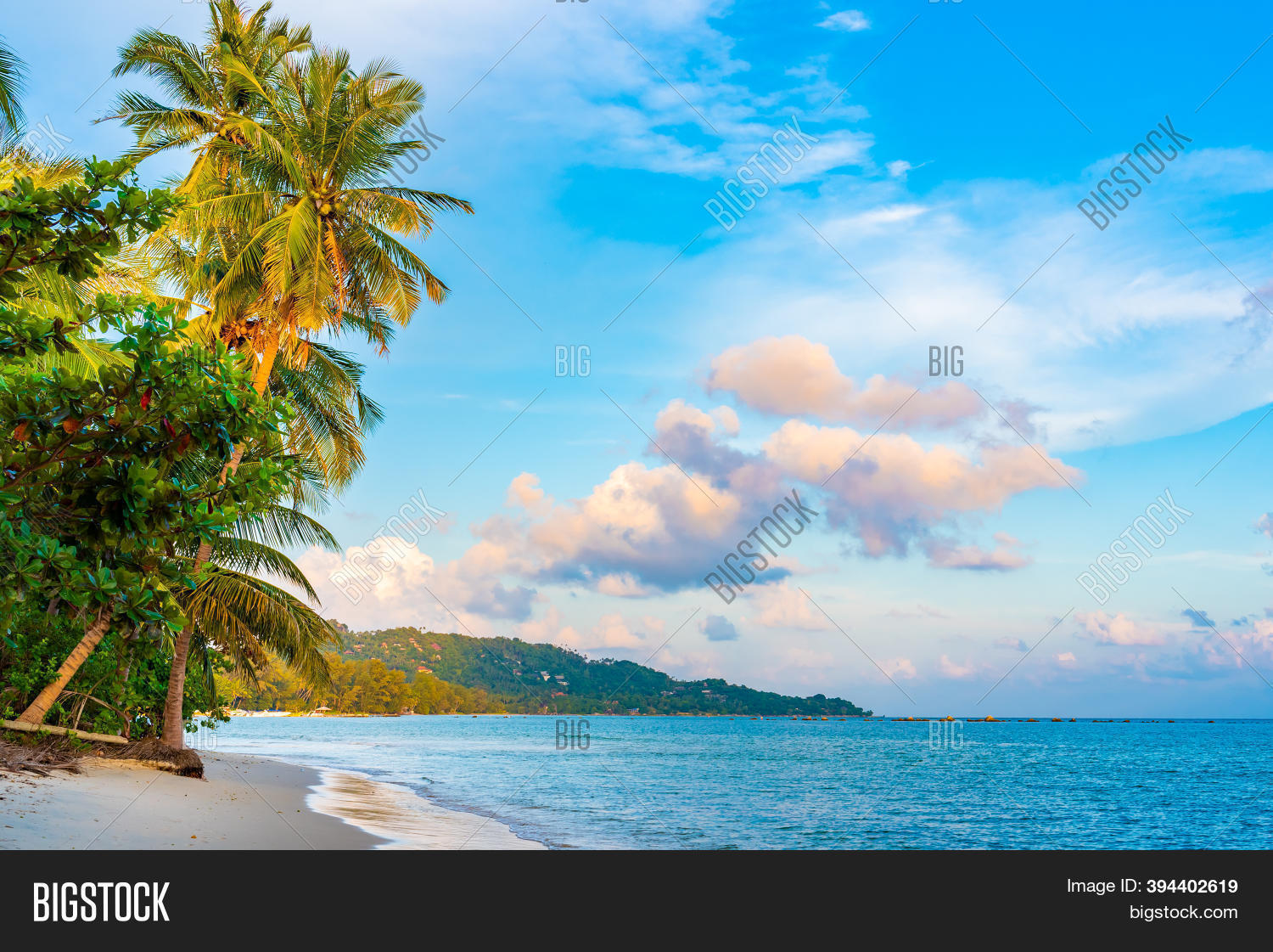 Horizontal Photo, Image & Photo (Free Trial) | Bigstock