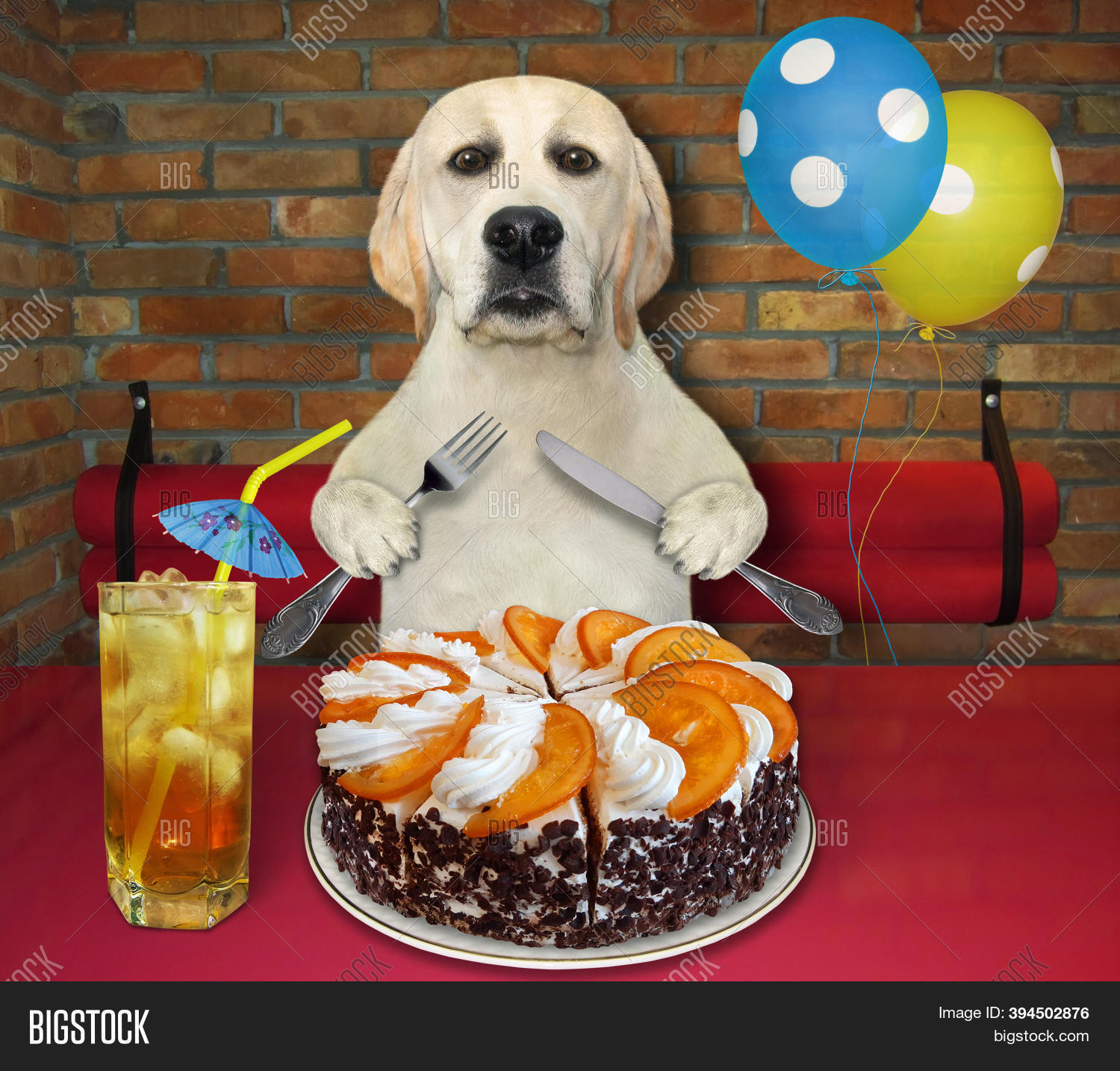Dog Fknife Fork His Image & Photo (Free Trial) | Bigstock