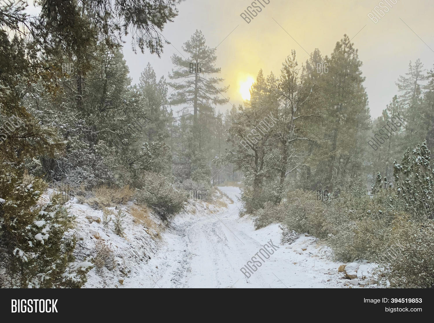 Snow Covered Dirt Road Image & Photo (Free Trial) | Bigstock