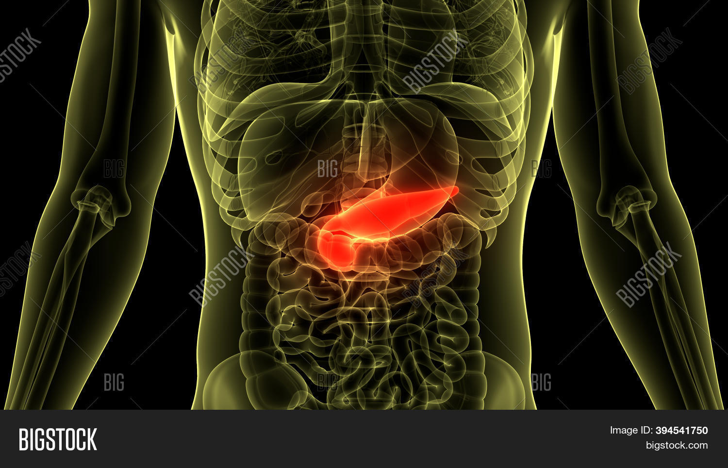 3d Illustration Image & Photo (Free Trial) | Bigstock