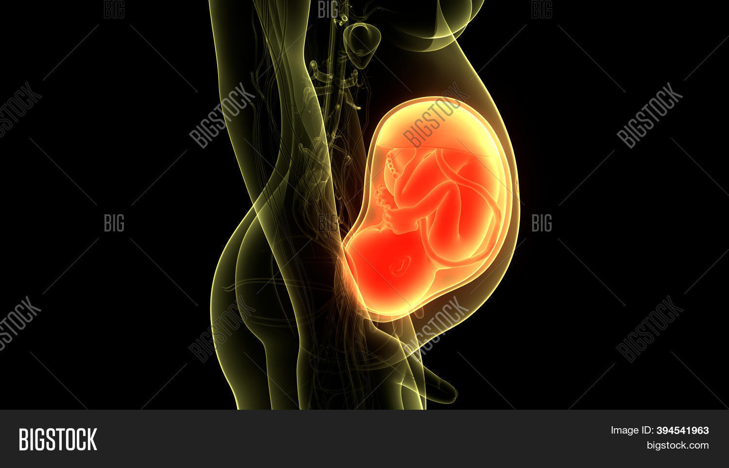 3d Illustration Image & Photo (Free Trial) | Bigstock