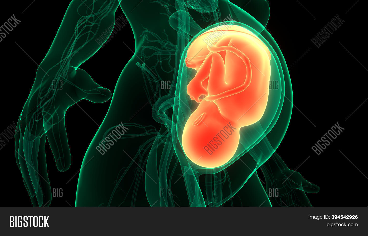 3d Illustration Image & Photo (Free Trial) | Bigstock