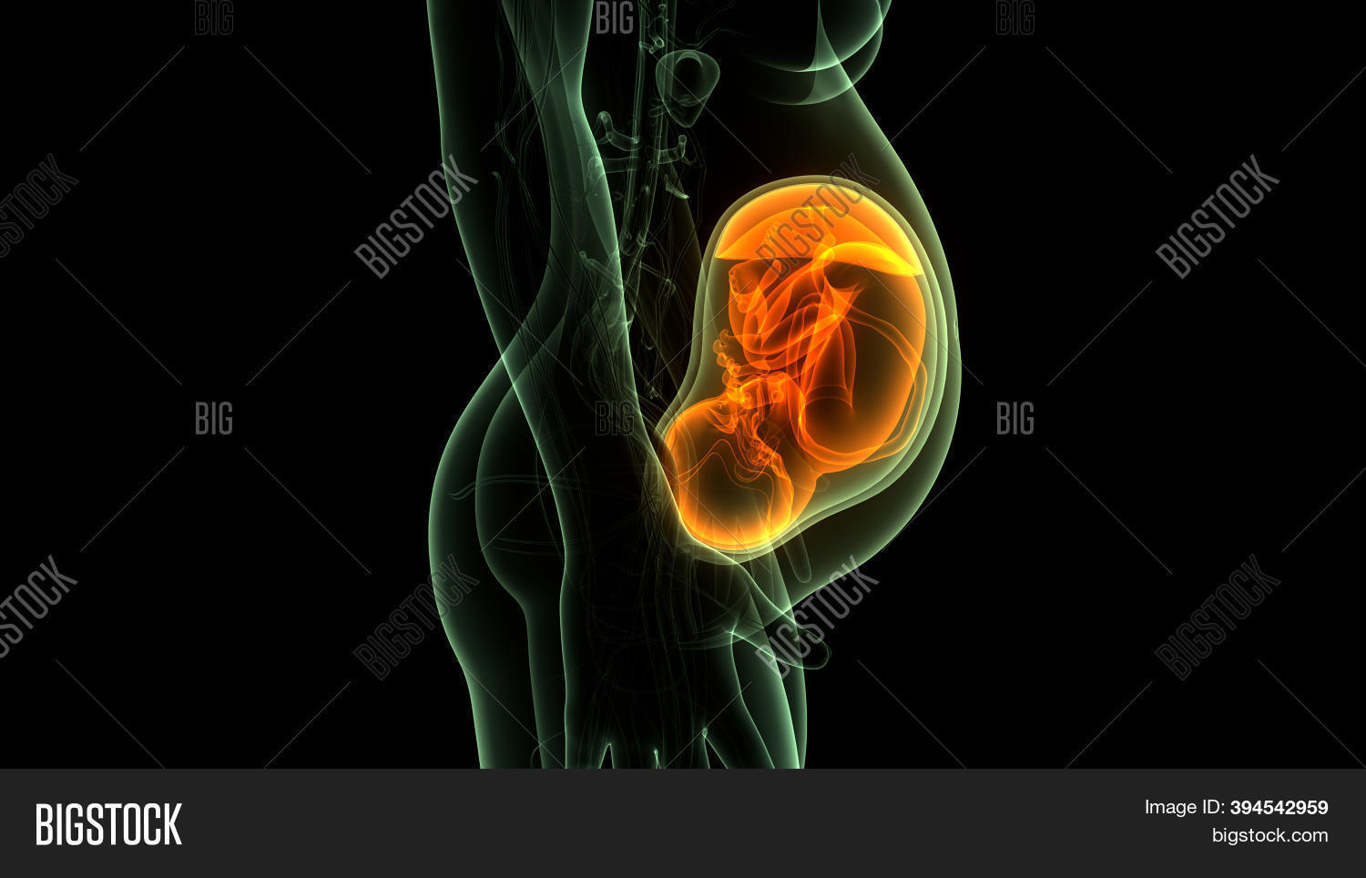 3d Illustration Image & Photo (Free Trial) | Bigstock