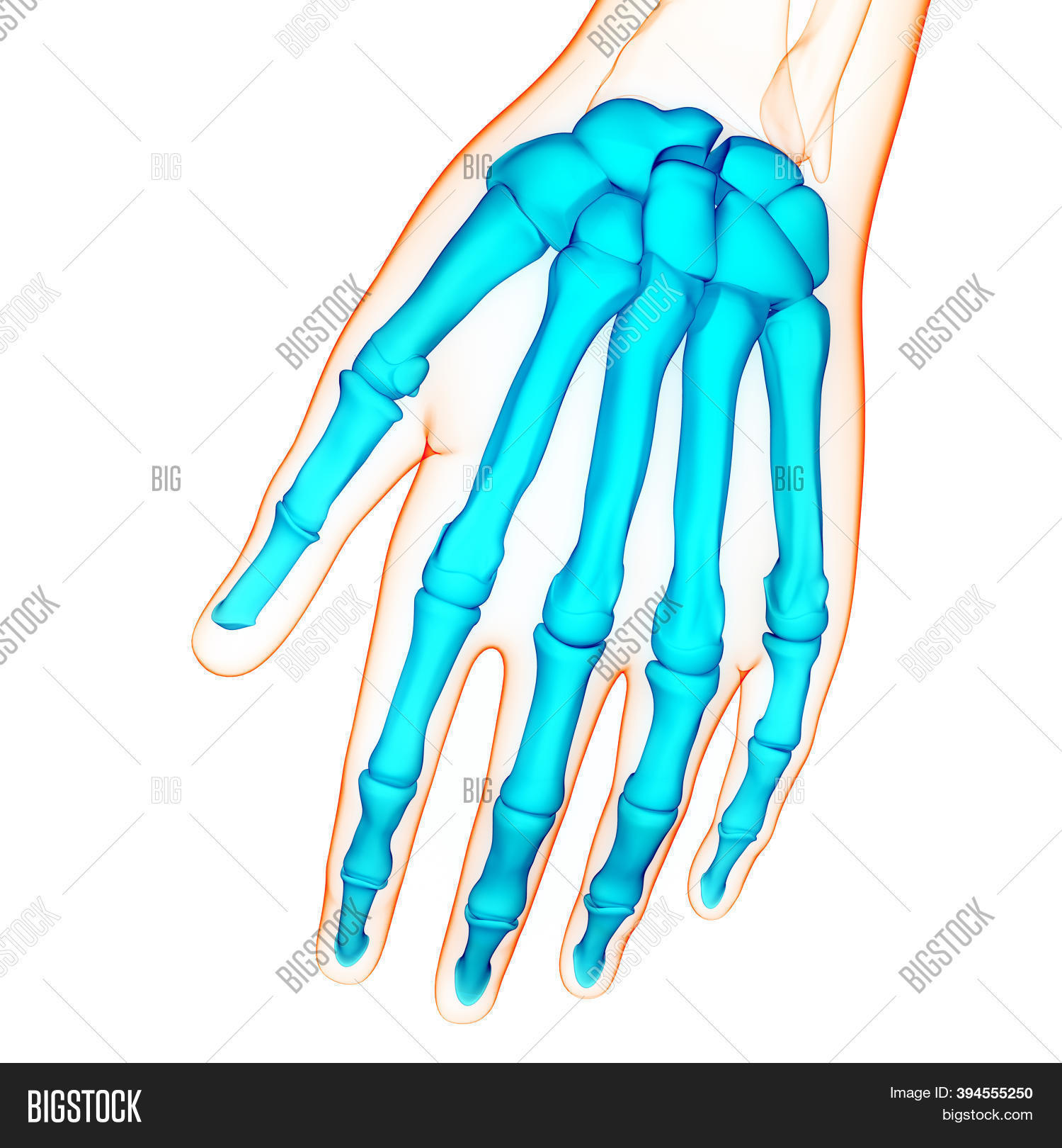 3d Illustration Image & Photo (Free Trial) | Bigstock