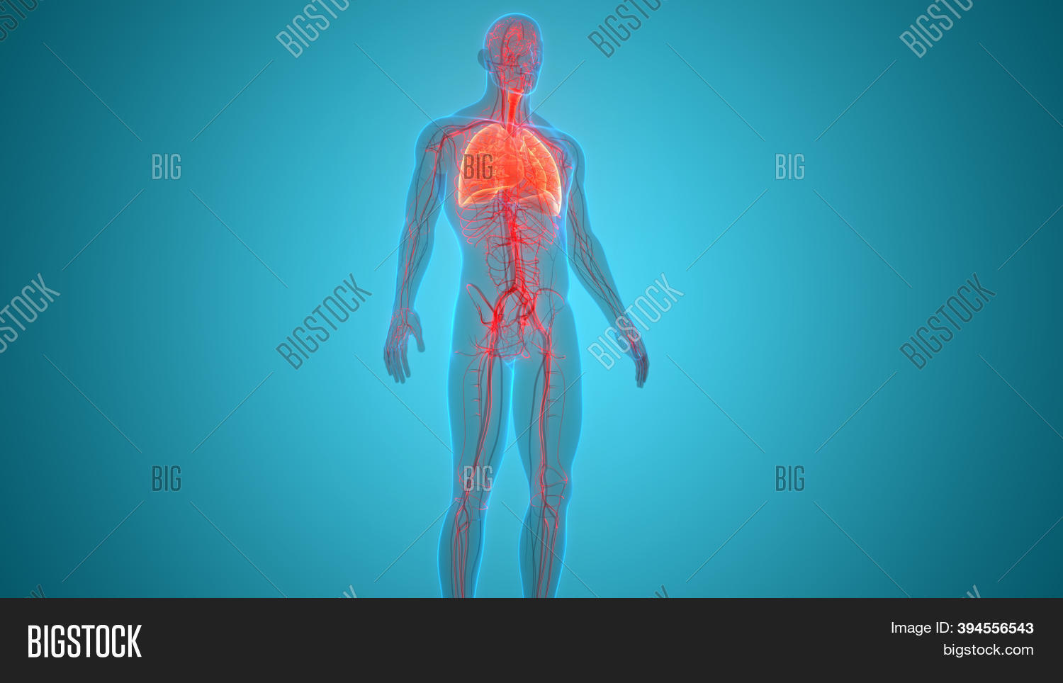 3d Illustration Image & Photo (Free Trial) | Bigstock