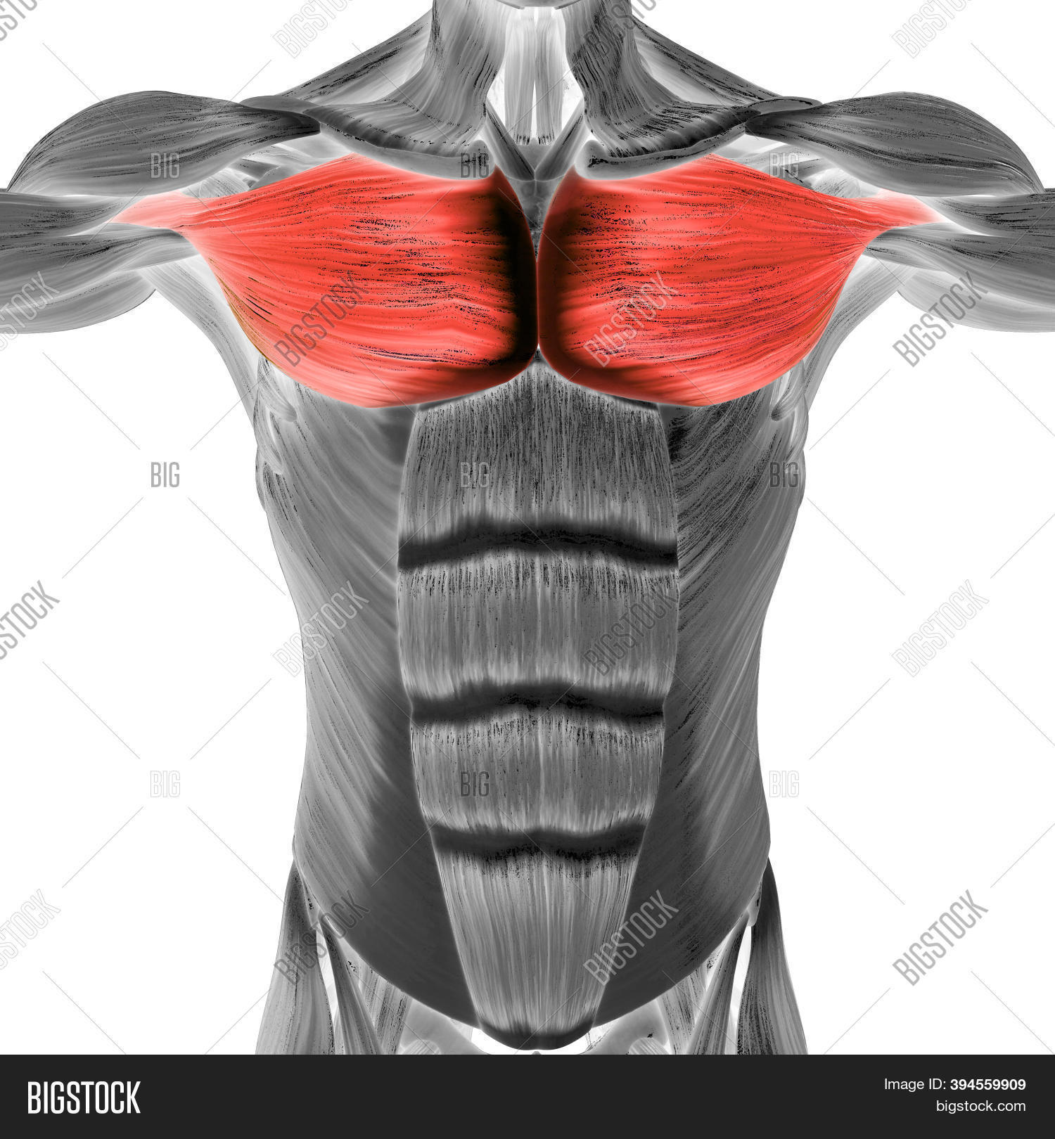 3d Illustration Image & Photo (Free Trial) | Bigstock