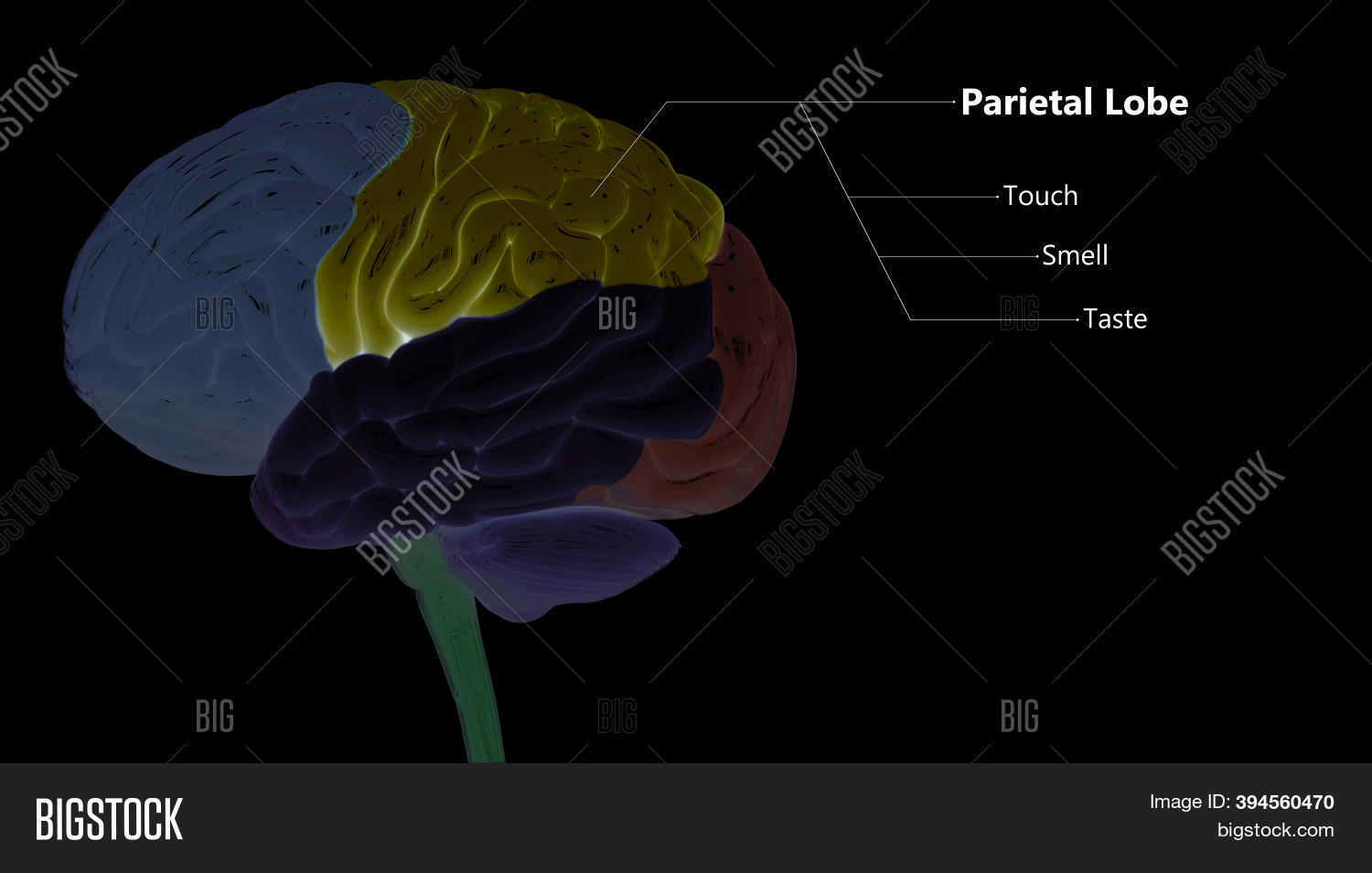 3d Illustration Image & Photo (Free Trial) | Bigstock