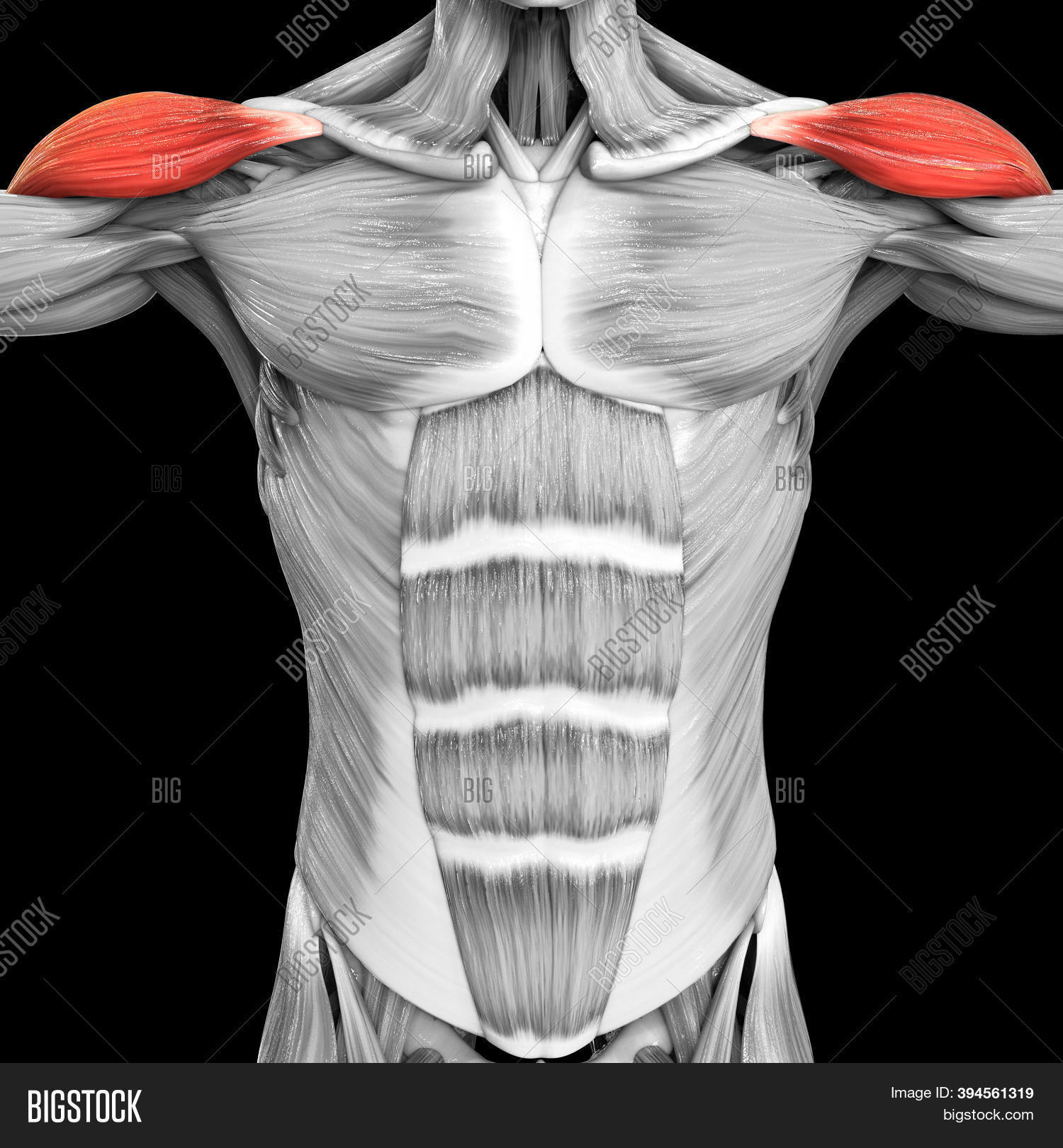 3d Illustration Image & Photo (Free Trial) | Bigstock