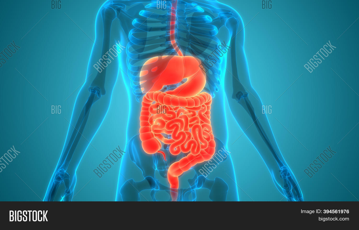 3d Illustration Image & Photo (Free Trial) | Bigstock