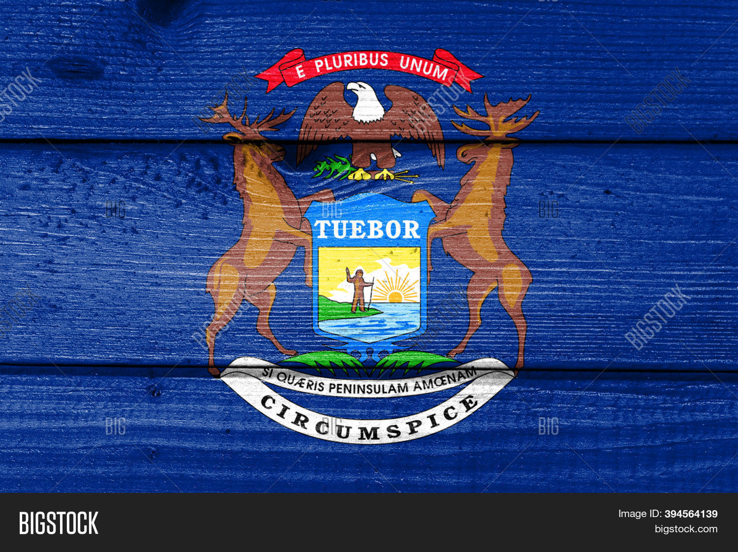Michigan Flag Painted Image & Photo (Free Trial) | Bigstock