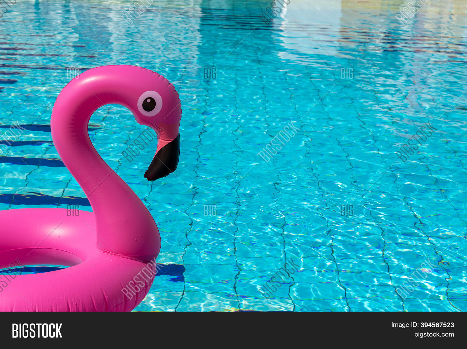 Flamingo Isolated. Image & Photo (Free Trial) | Bigstock