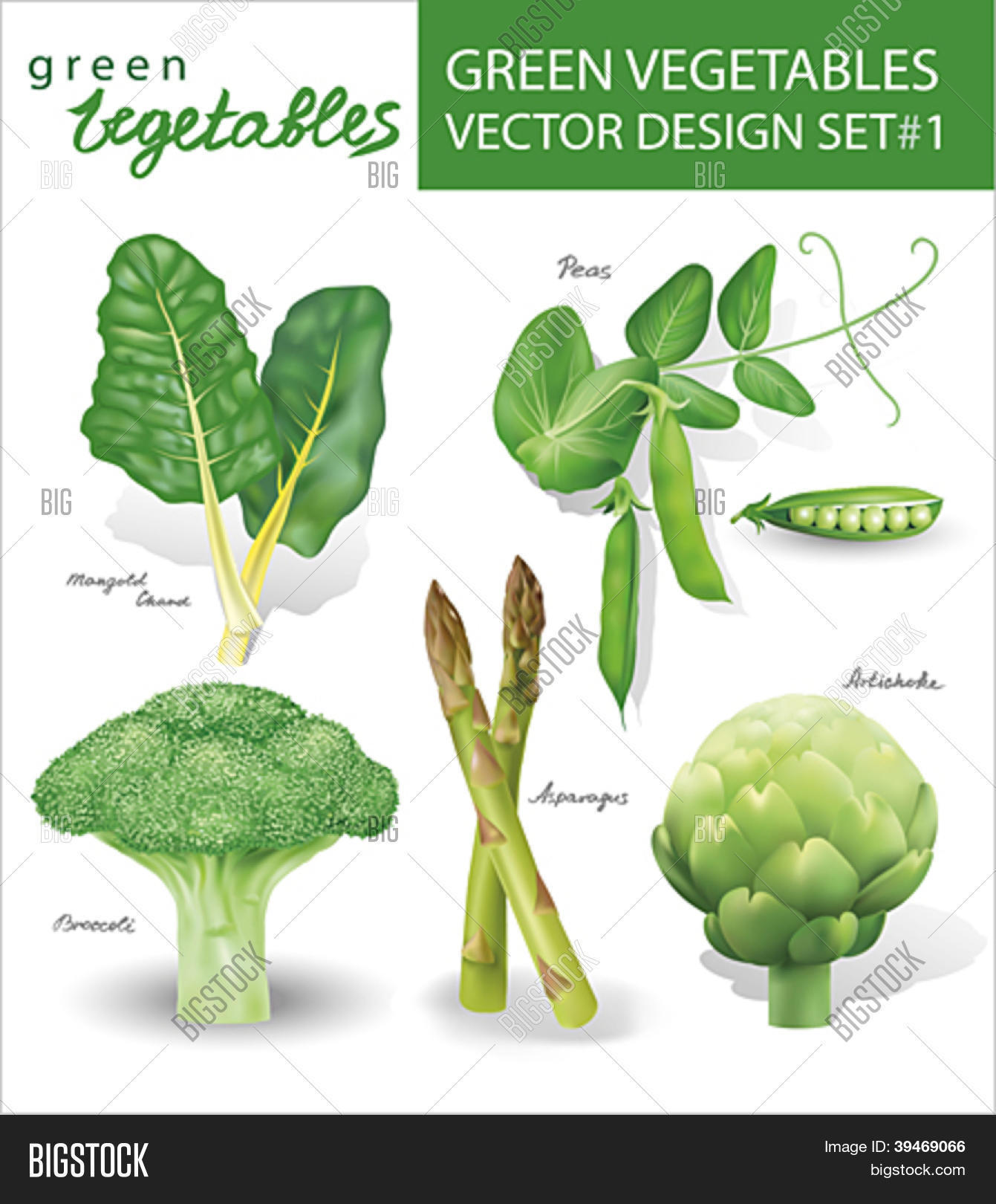 Green Vegetables Vector & Photo (Free Trial) | Bigstock