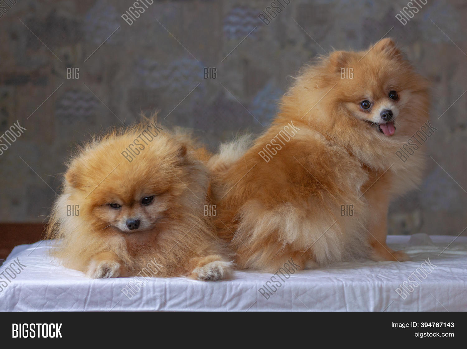 Two Small Orange Image & Photo (Free Trial) | Bigstock