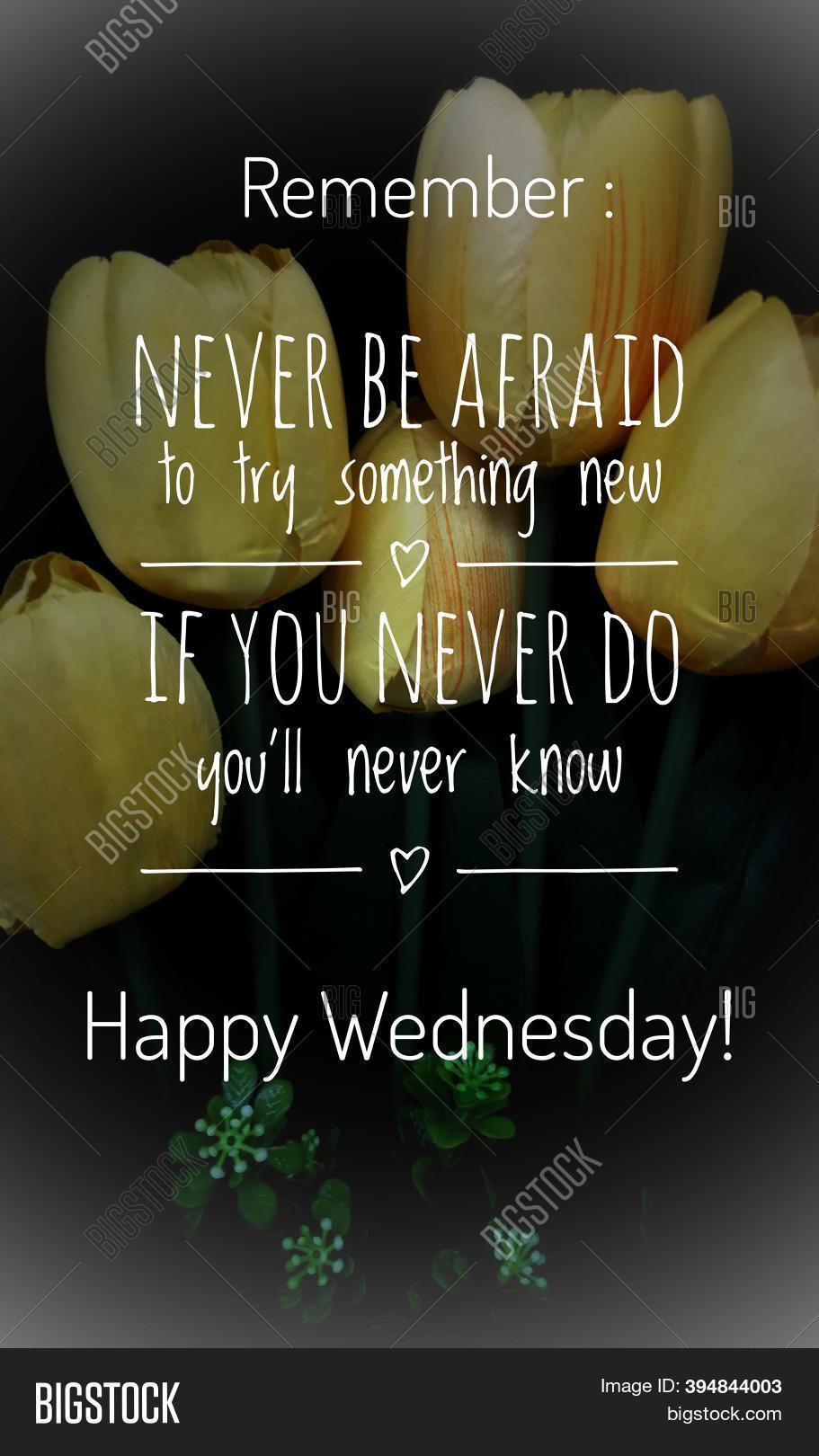 Image Wordings Quotes Image & Photo (Free Trial) | Bigstock