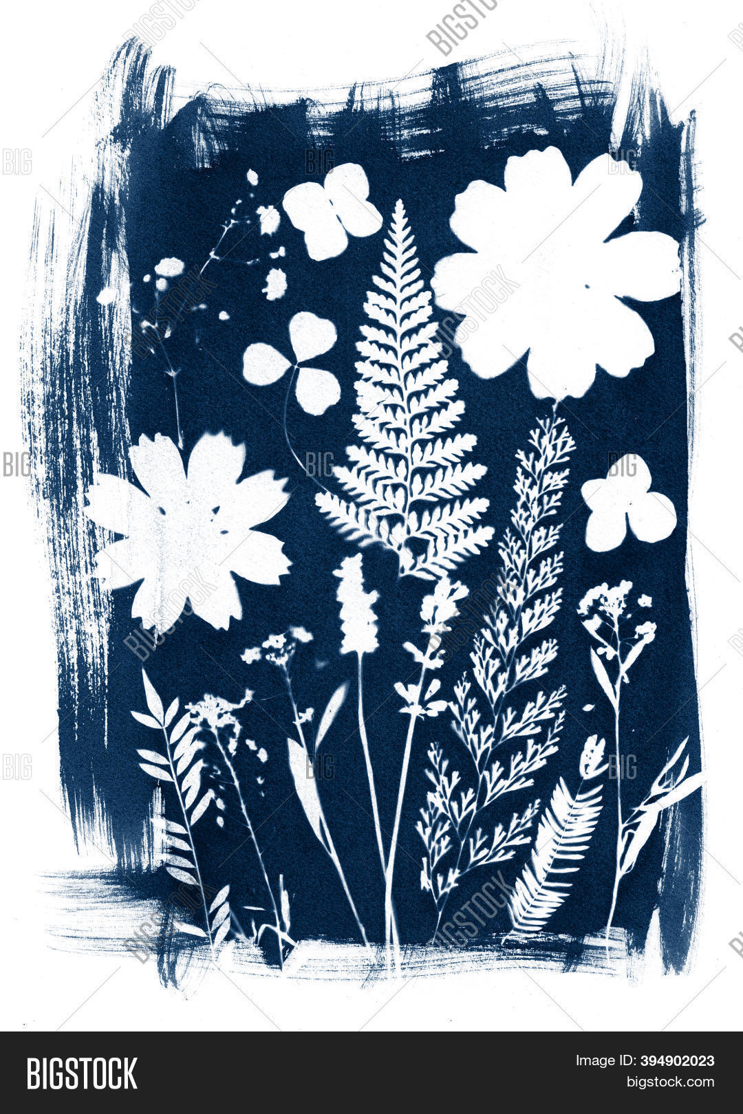 Sun Printing, Image & Photo (Free Trial) | Bigstock