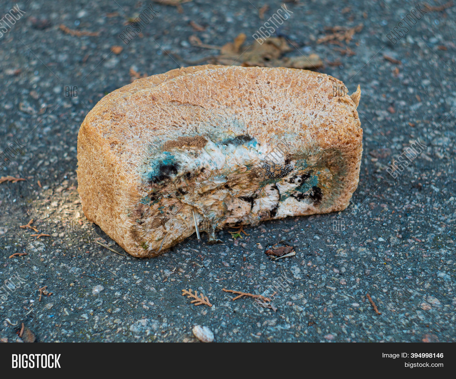 Old Bread Colorful Image & Photo (Free Trial) | Bigstock