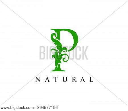 Green P Letter Logo. Vector & Photo (Free Trial) | Bigstock