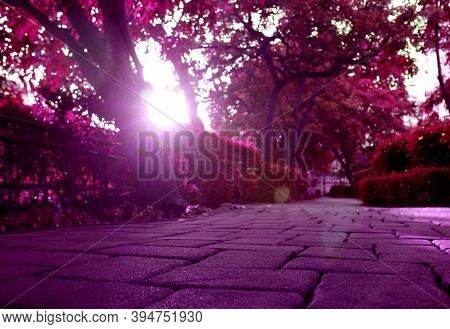 Purple Pathways Images, Illustrations & Vectors (Free) - Bigstock