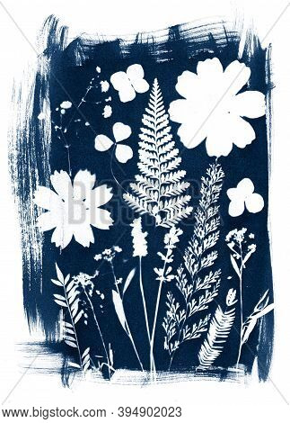 Sun Printing, Image & Photo (Free Trial) | Bigstock