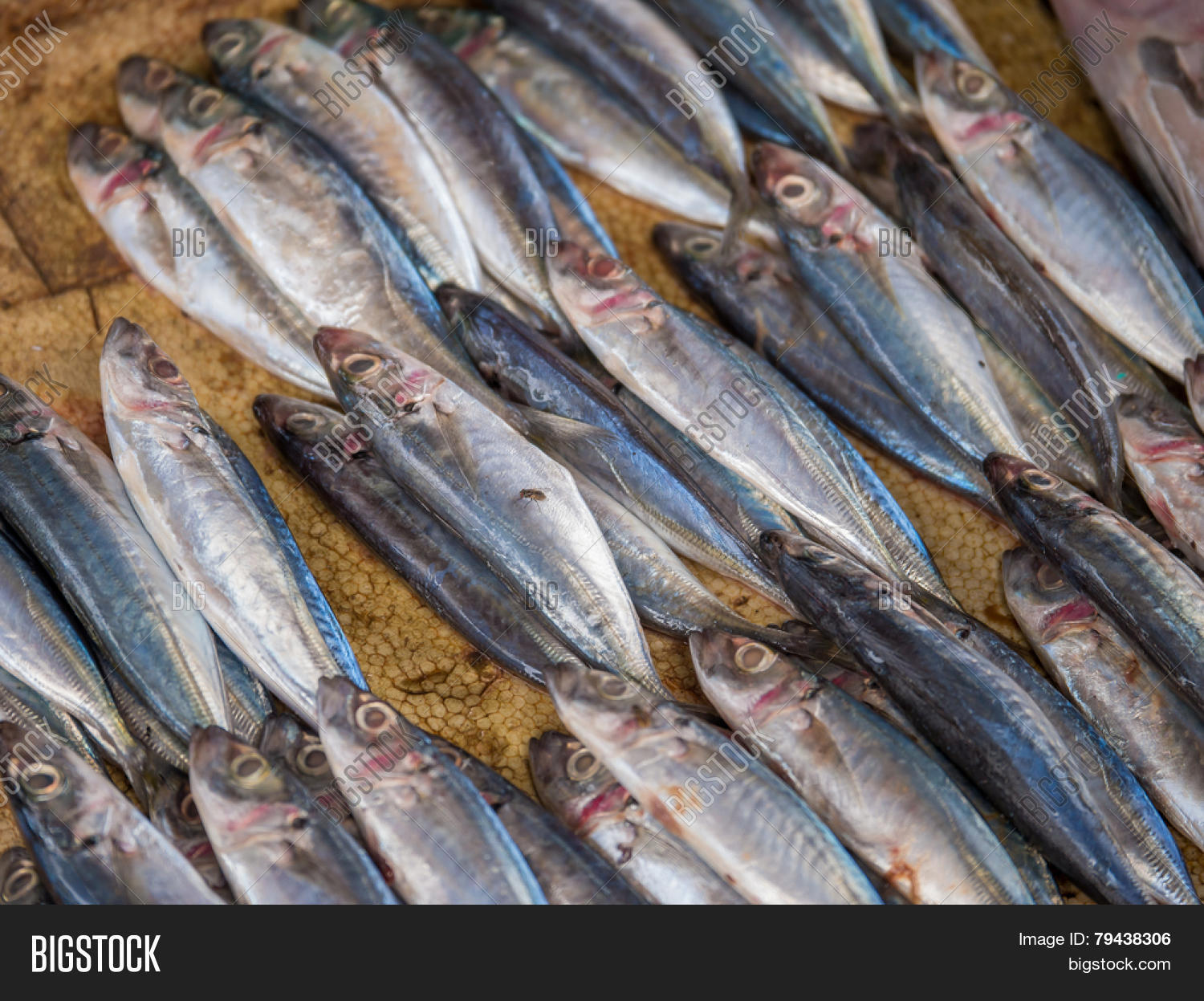 Fish Market Jimbaran Image & Photo (Free Trial) | Bigstock