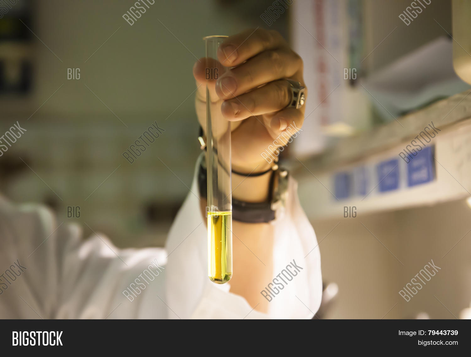 Scientist Hand Holding Image & Photo (Free Trial) | Bigstock