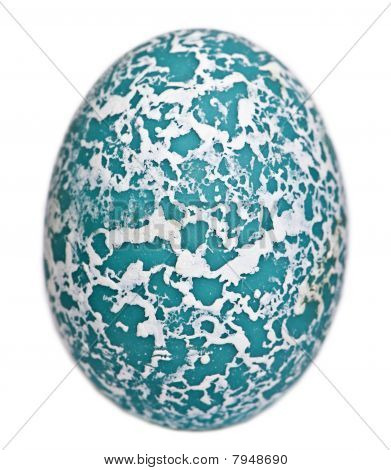 Egg Greater Roadrunner Image & Photo (Free Trial) | Bigstock