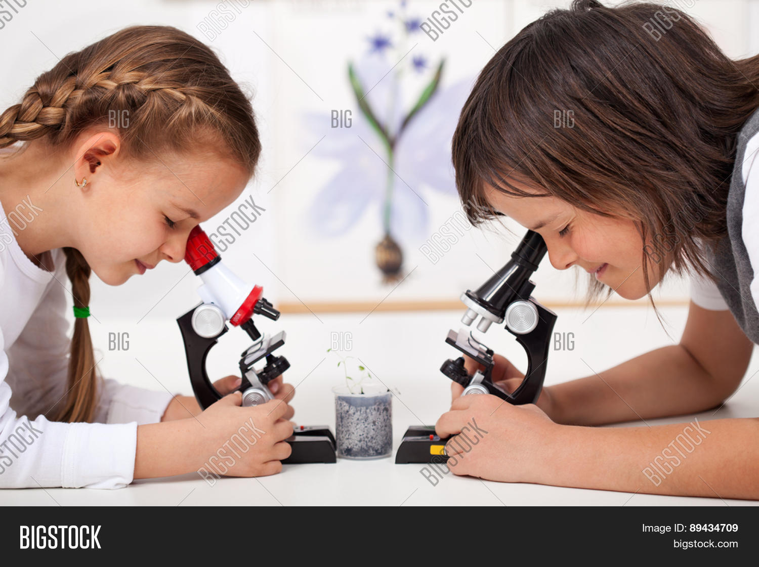 Young Kids Science Lab Image & Photo (Free Trial) | Bigstock